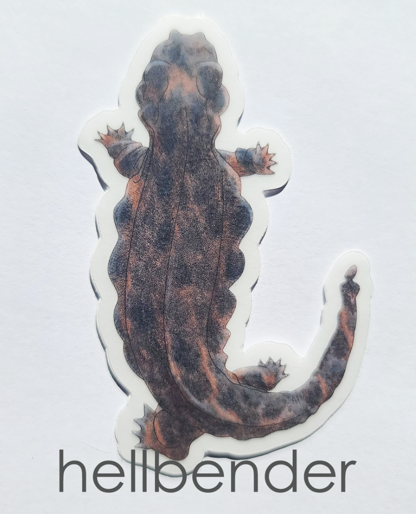 Hellbender Sticker | My Site