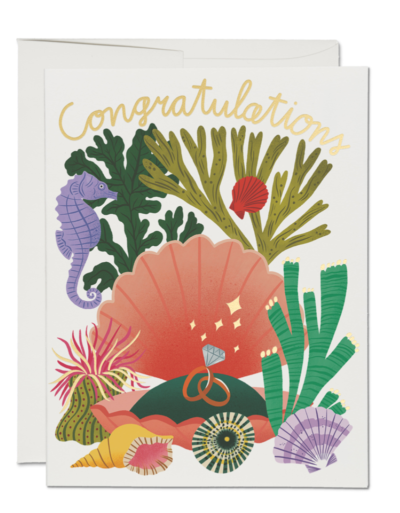 Congratulations Clam Shell Card | My Site