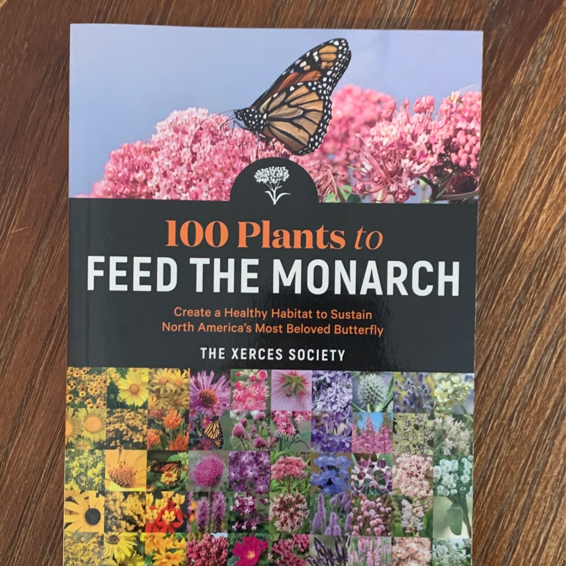 100 Plants to Feed the Monarchs | My Site